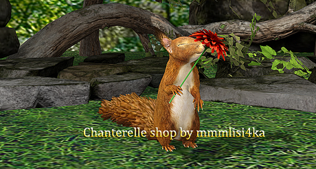 Second Life Marketplace - 04-Mutresse-Fluffy Squirrels